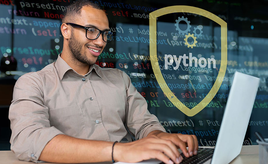 Online Python for Machine Learning & Data Science Course from Franklin ...